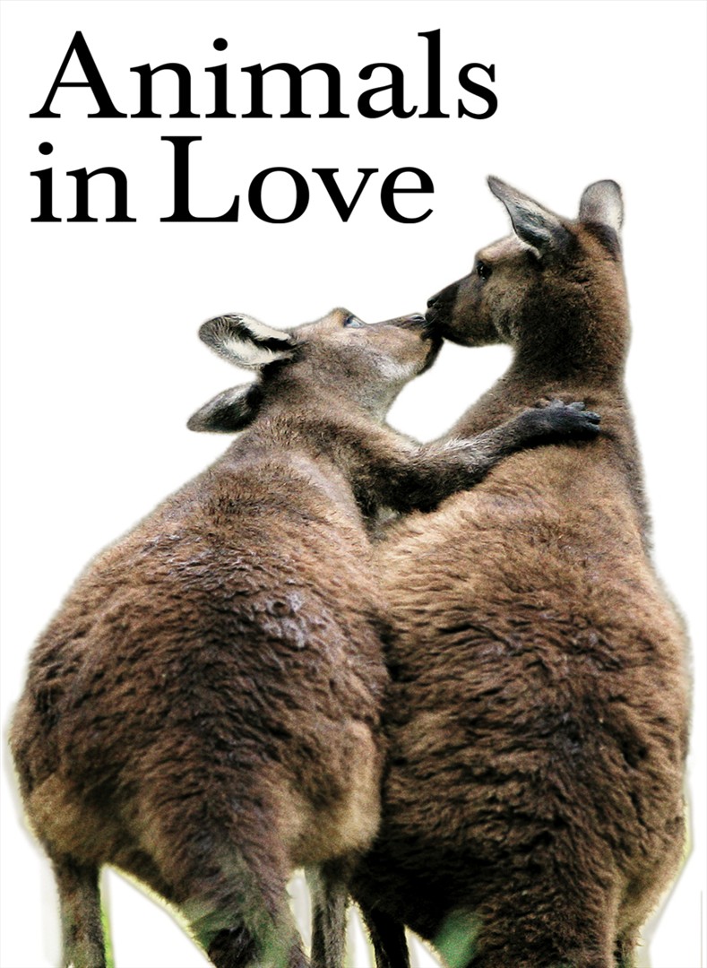 Animals in Love