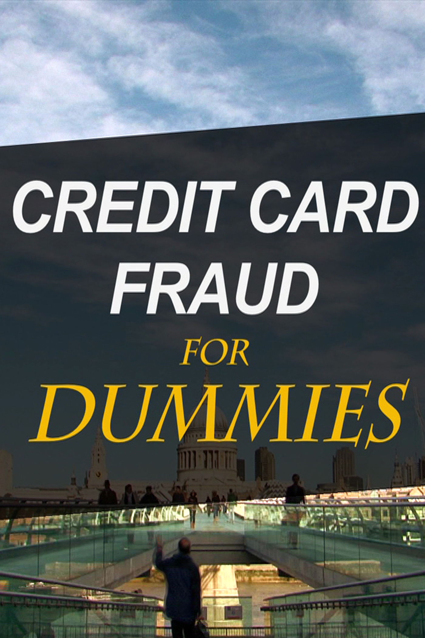 Credit Card Fraud for Dummies