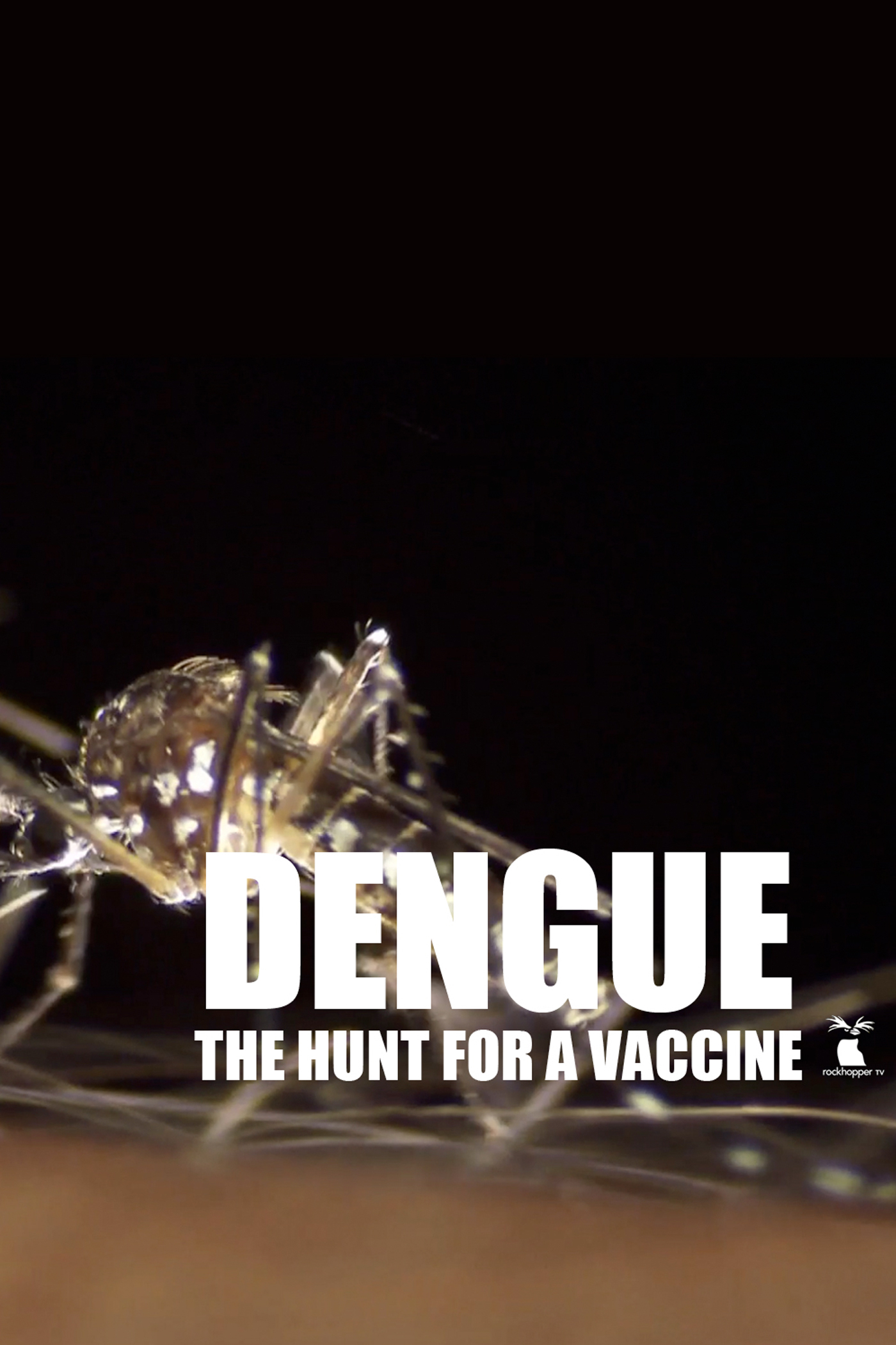 Dengue: The Hunt for a Vaccine
