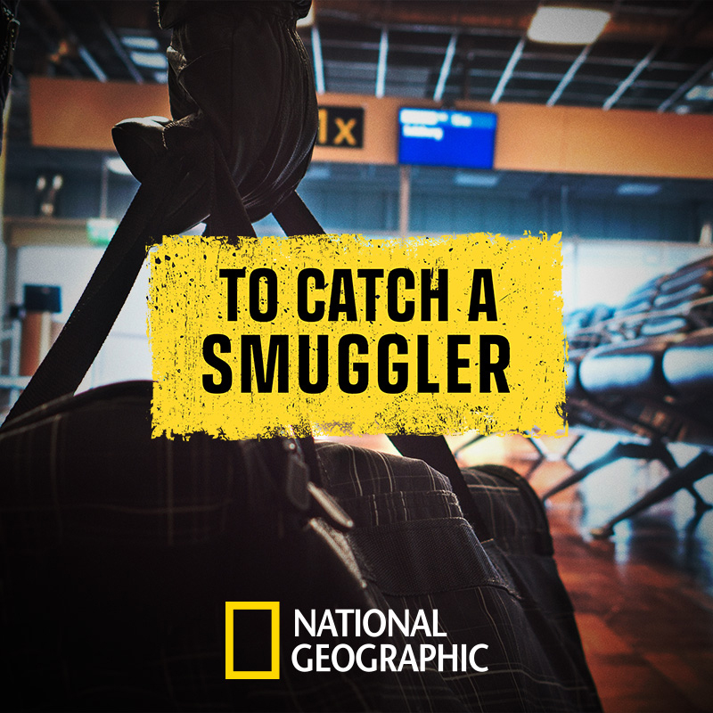 To Catch a Smuggler