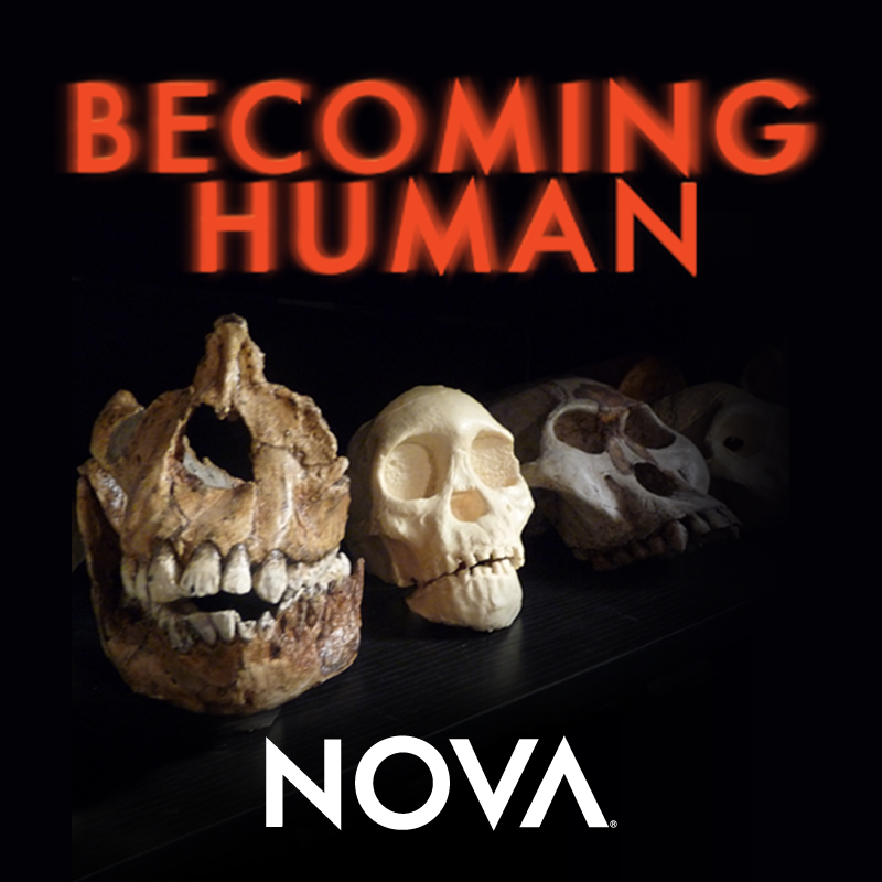Nova Becoming Human