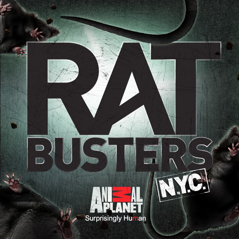 Rat Busters NYC