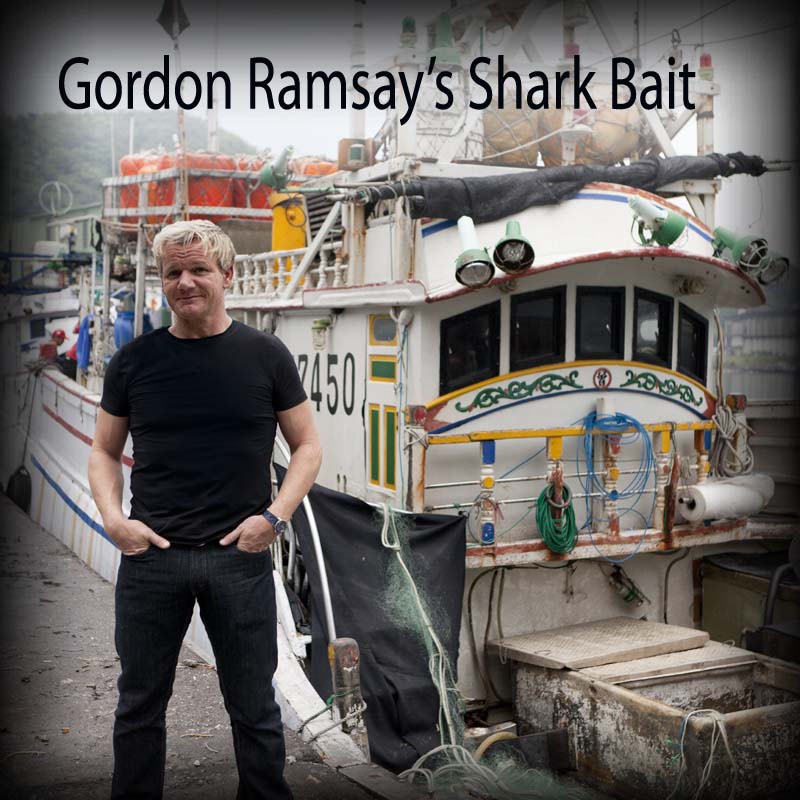 Gordon Ramsay's Shark Bait